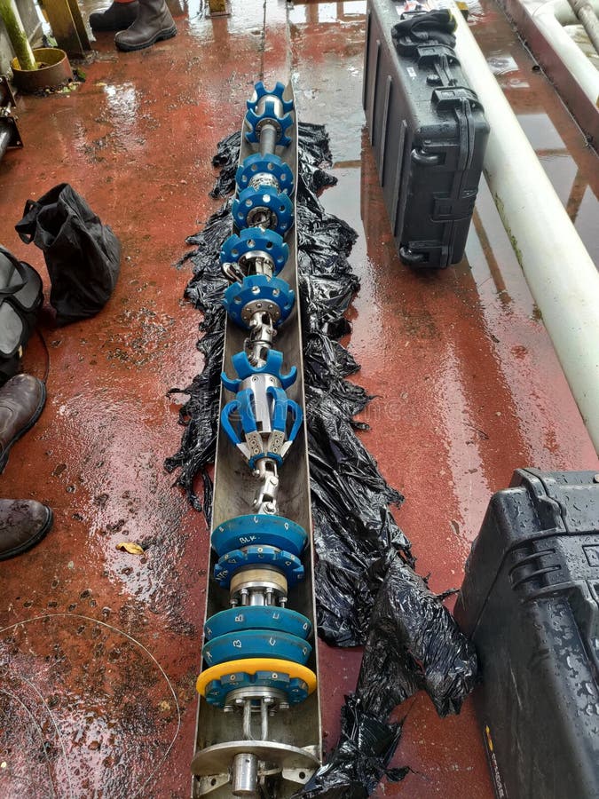 Cerdo inteligente foto de archivo. Imagen de lanzamiento - 278484082