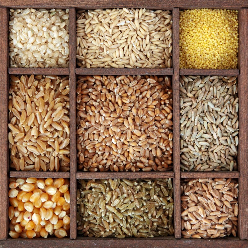 Coleção dos cereais imagem de stock. Imagem de soletrado - 20596643