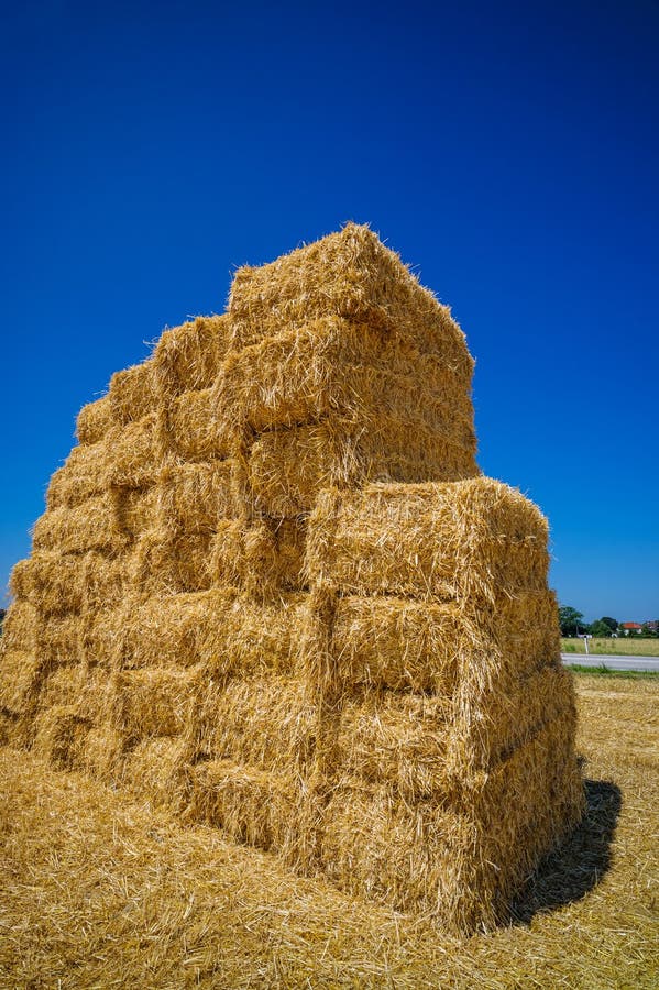 Cereal bales of straw stock photo. Image of culture, wheat - 35677348
