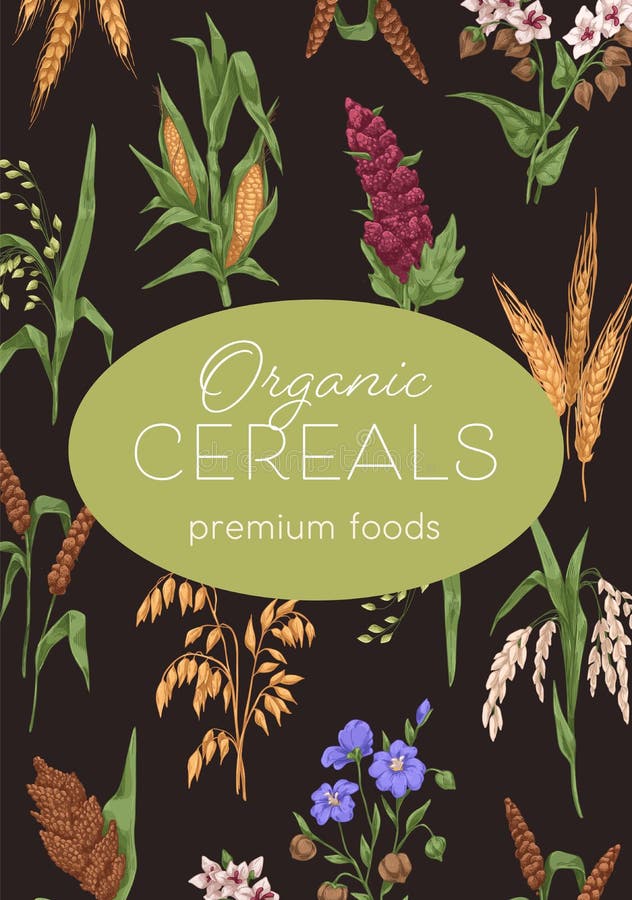 Cereal Food Package Design with Background for Text and Grain Crops ...