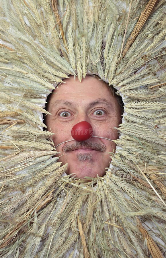 Flower power man stock image. Image of popstar, camellia - 30543917