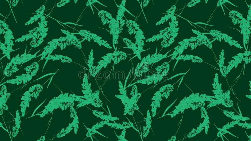 Cereal Grass with Panicle Fluffy Crown of Meadow Grass Animated ...