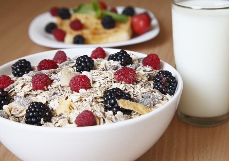 Cereal with Milk for Breakfast Stock Image - Image of morning, milk ...