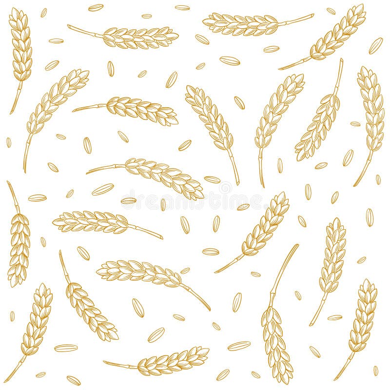 Cereal Pattern Background. Grains and Ears of Wheat, Rye or Barley ...