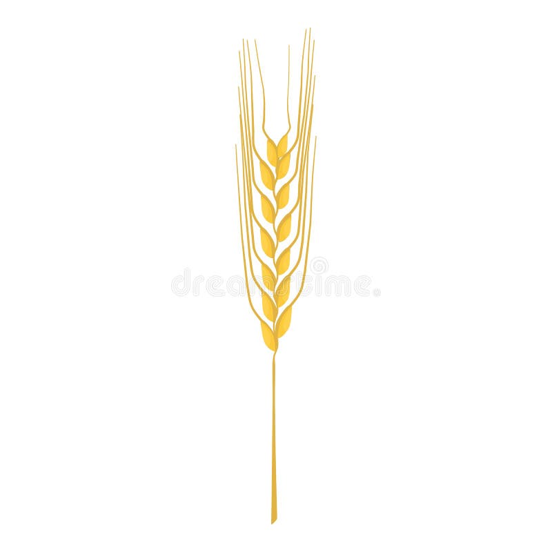Rice Stalk Icon, Cartoon Style Stock Vector - Illustration of harvest ...