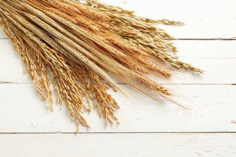 Rice background stock image. Image of ingredient, rice - 26152819