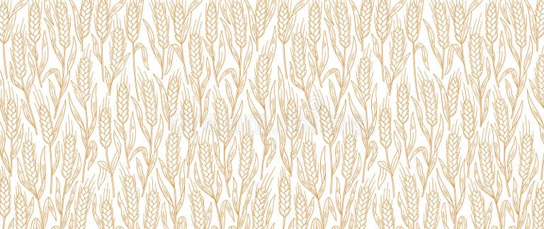 Cereal Wheat Straw Pattern Background. Ears of Wheat, Rye or Barley ...