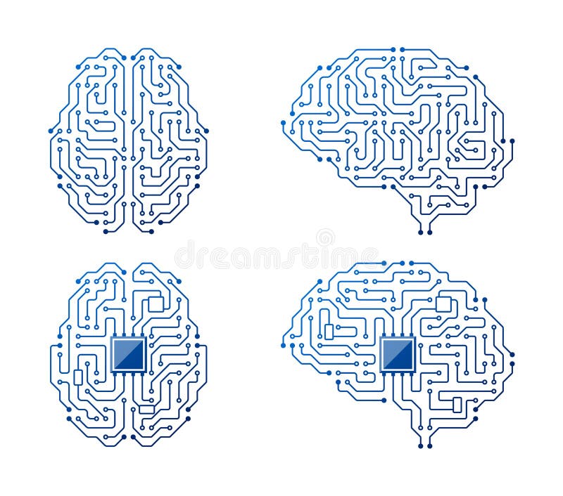 Cerebellar Electric Circuit Pathways Indicate Flow of Electrical ...