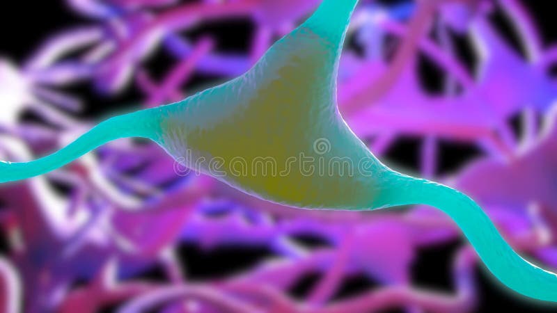 A Histological Section of the Cerebral Cortex, Showcasing the Layers of ...