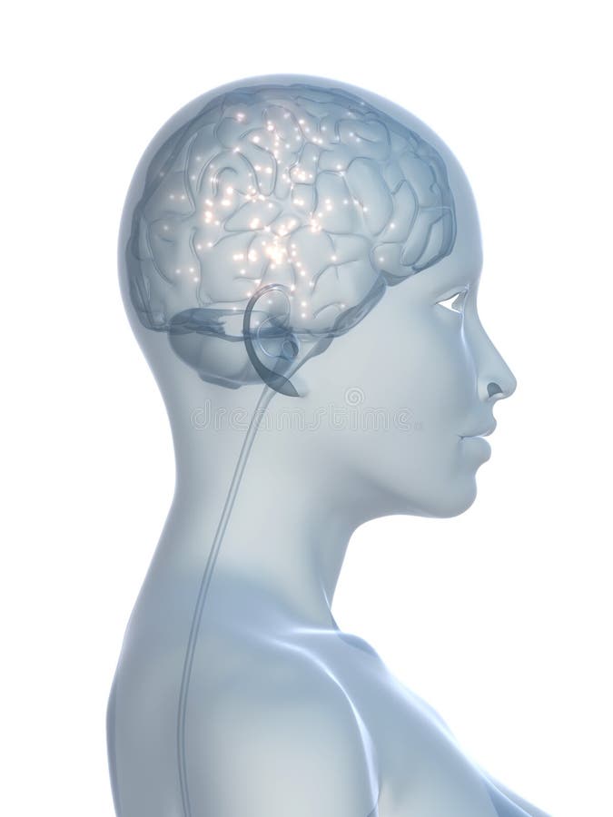 Cerebro transparente stock de ilustración. Ilustración de viejo - 4501678