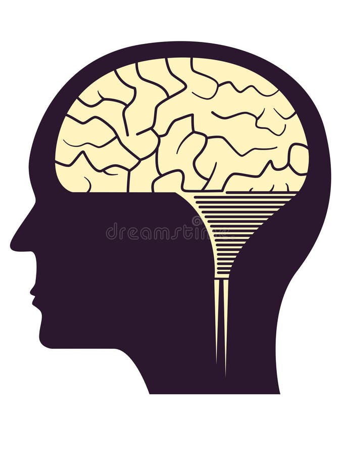 Cerebro Humano. Vector Aislado. Concepto Del Cerebro Humano. Stock de ...