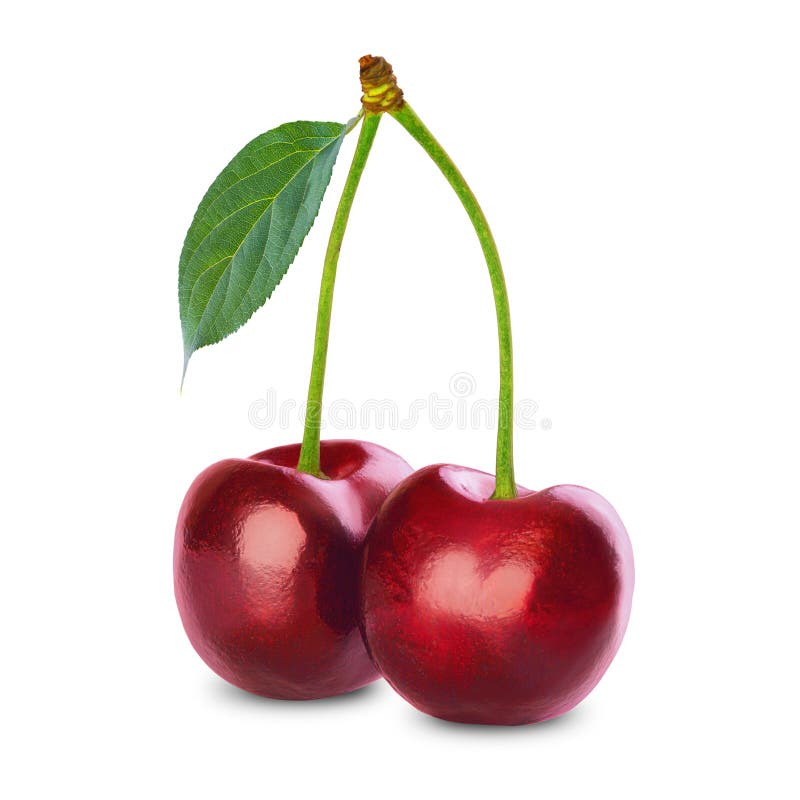 Cereja foto de stock. Imagem de ingrediente, folha, forma - 97485306