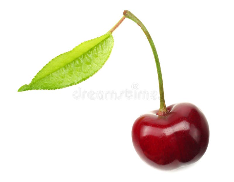 Cereja Com a Folha Verde Isolada No Fundo Branco Foto de Stock - Imagem ...