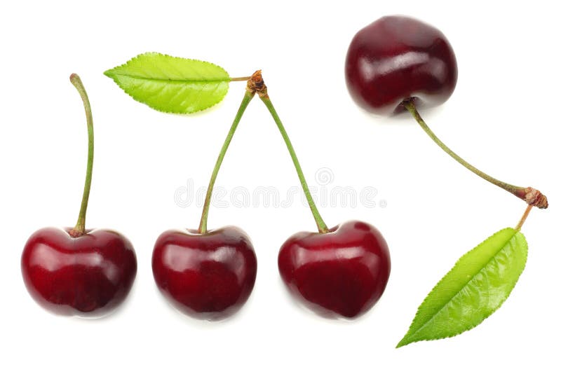 Cereja Com a Folha Verde Isolada No Fundo Branco Foto de Stock - Imagem ...
