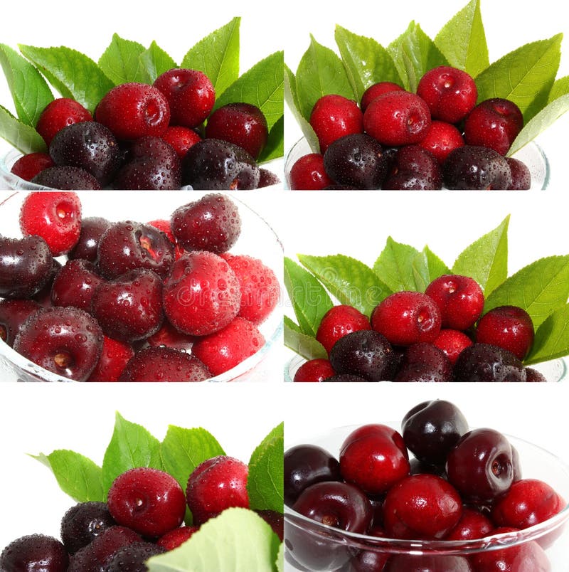 Frutas Frescas Da Cereja Com Folhas Verdes Imagem de Stock - Imagem de ...