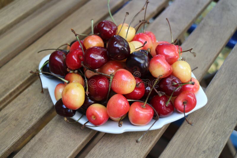 Cereja doce imagem de stock. Imagem de fresco, colorido - 252845693