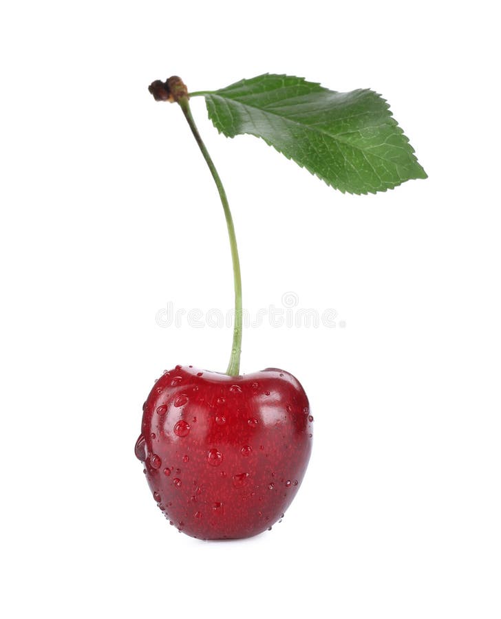 Cereja Doce Madura, Com Folha Isolada Foto de Stock - Imagem de fruta ...