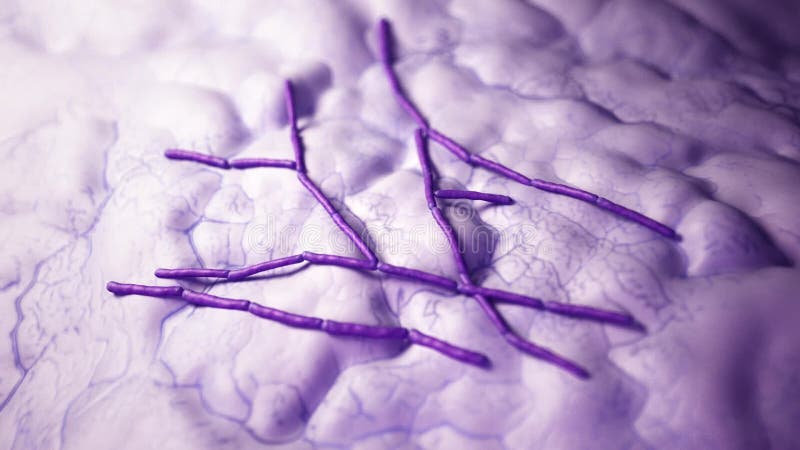 E Coli Bacteria in Motion 3D Animation. Stock Footage - Video of gram ...