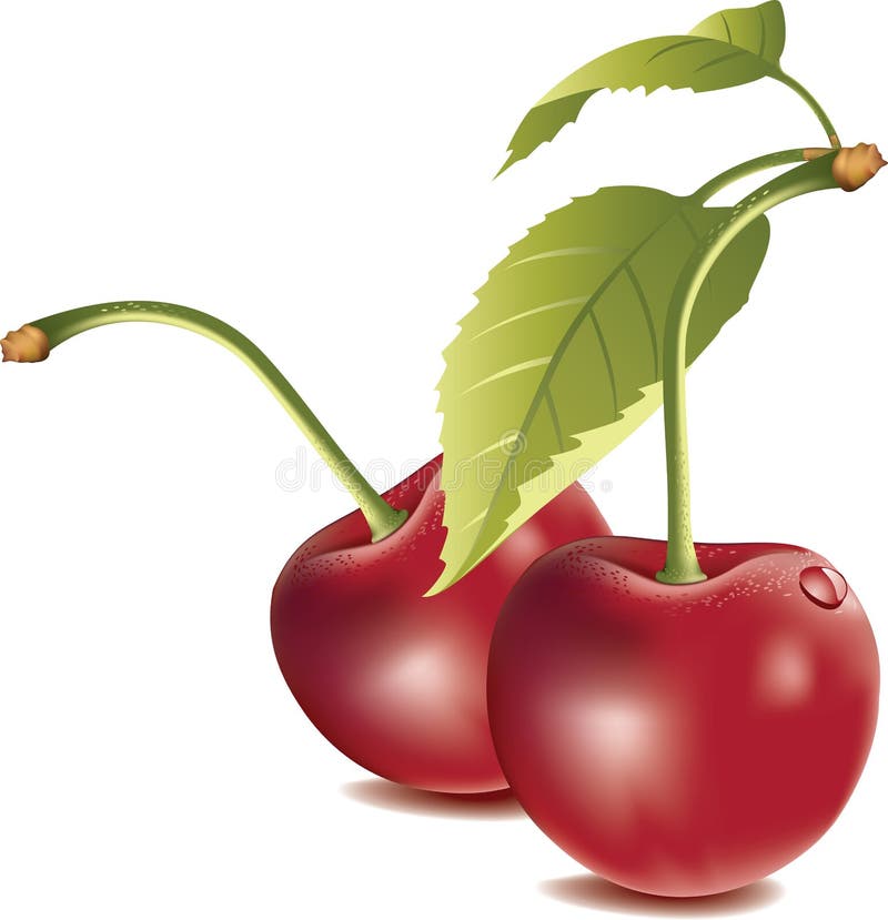 Cereza ilustración del vector. Ilustración de dieta, cierre - 14635167
