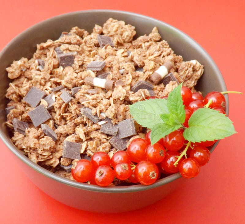 Cerials with Chocolate and Currants Stock Image - Image of currants ...