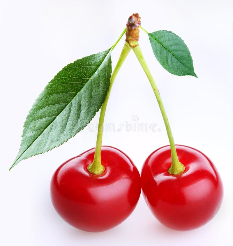Cerise photo stock. Image du vert, fruits, nourriture - 7929172