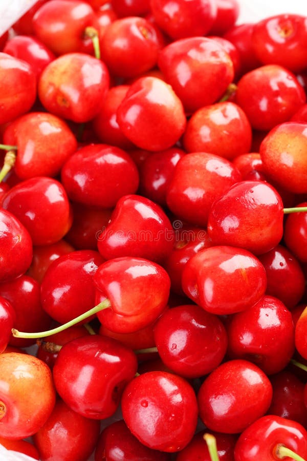 Cerise mûre photo stock. Image du rouge, objet, fond - 56699126