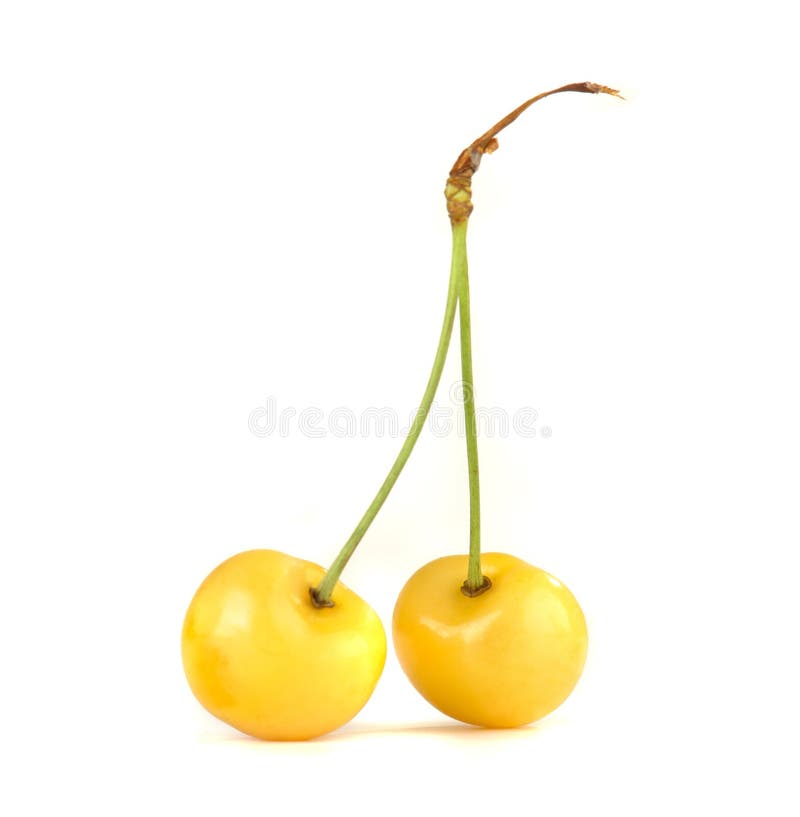 Cerise jaune photo stock. Image du fond, aliment, affermage - 2915892