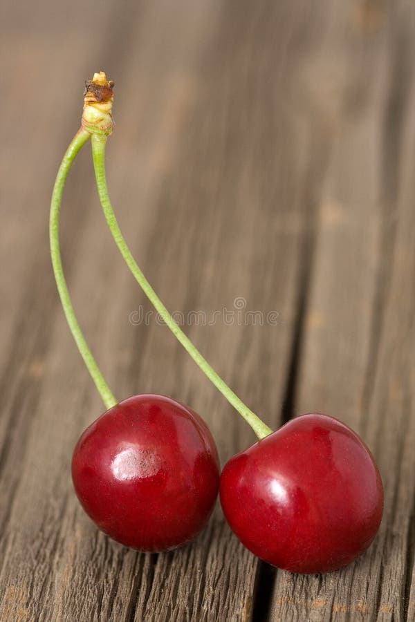 Cerise rouge image stock. Image du rouge, jardin, riche - 9724013