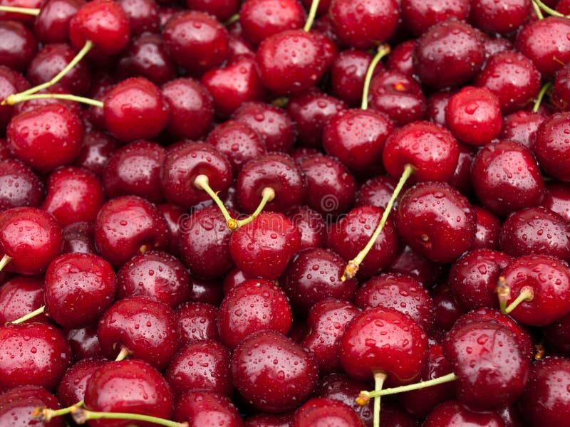 Cerise rouge photo stock. Image du vert, lame, marché - 55274740