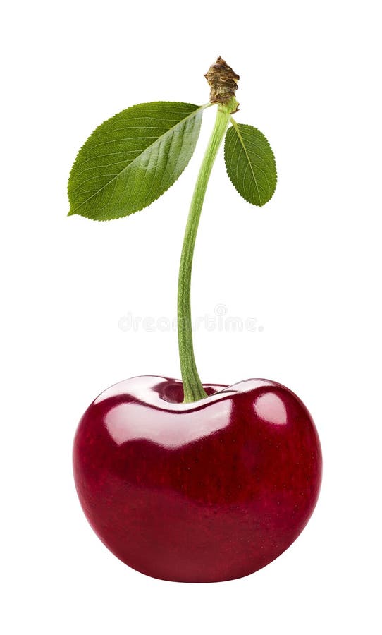 Pots De Cerise Douce Et De Vanille Isolés Sur Fond Blanc Image stock ...