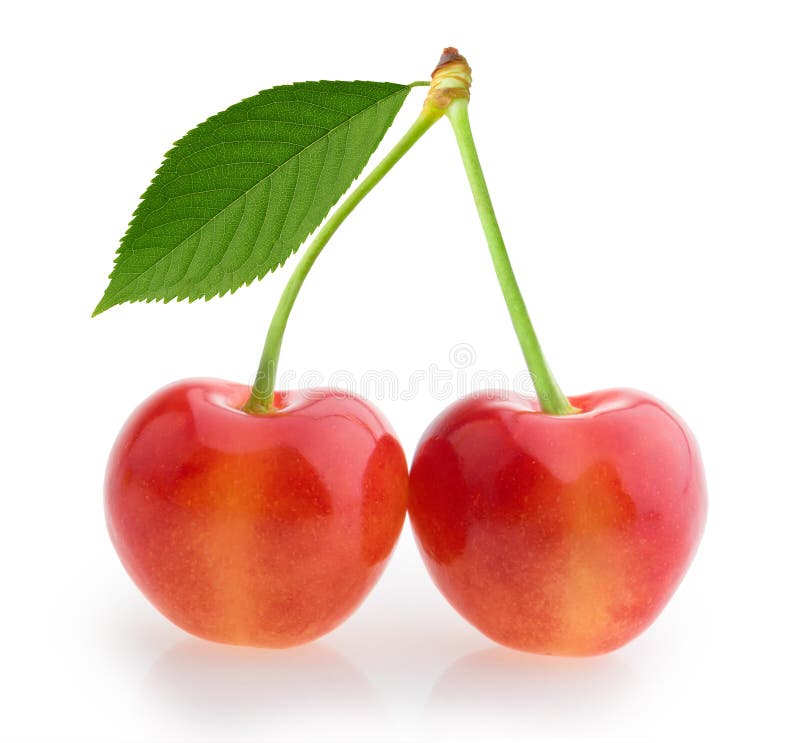Cerises Jaunes - Un Deux Trois Image stock - Image du cerise, closeup ...