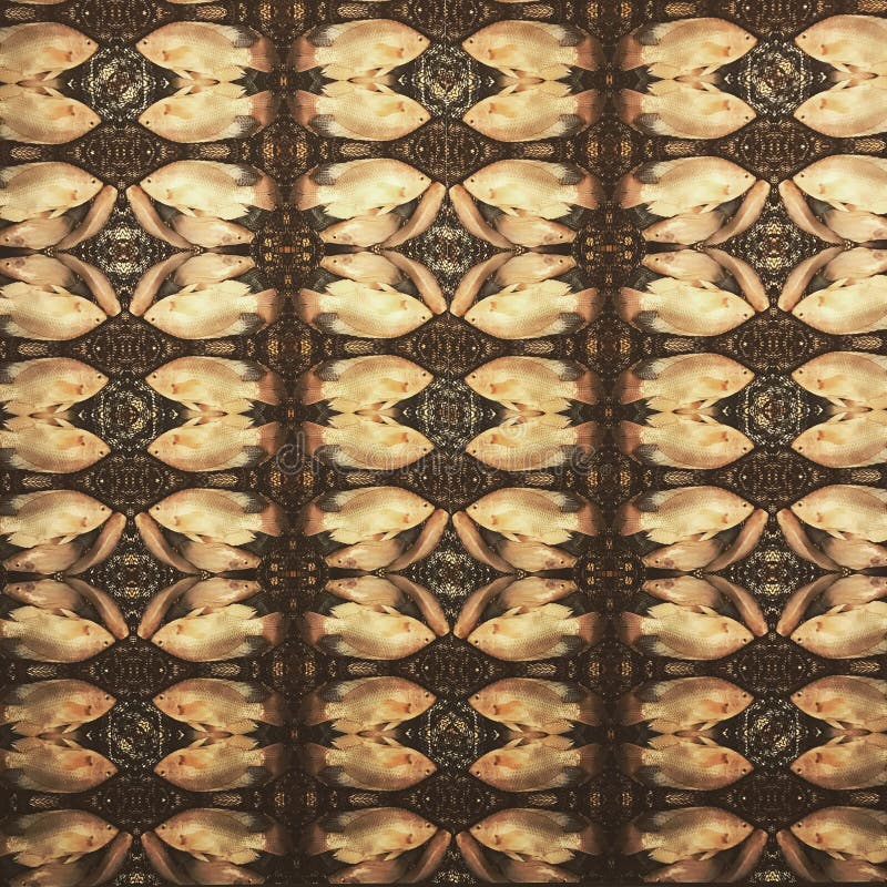 A Funky Collection of Fish Form a Mesmerizing Pattern Stock Image ...