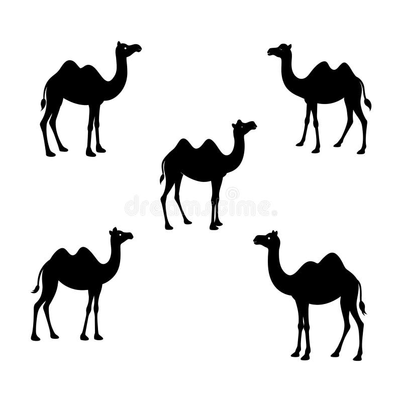 Black Silhouette of Camel Vector Art Stock Vector - Illustration of ...