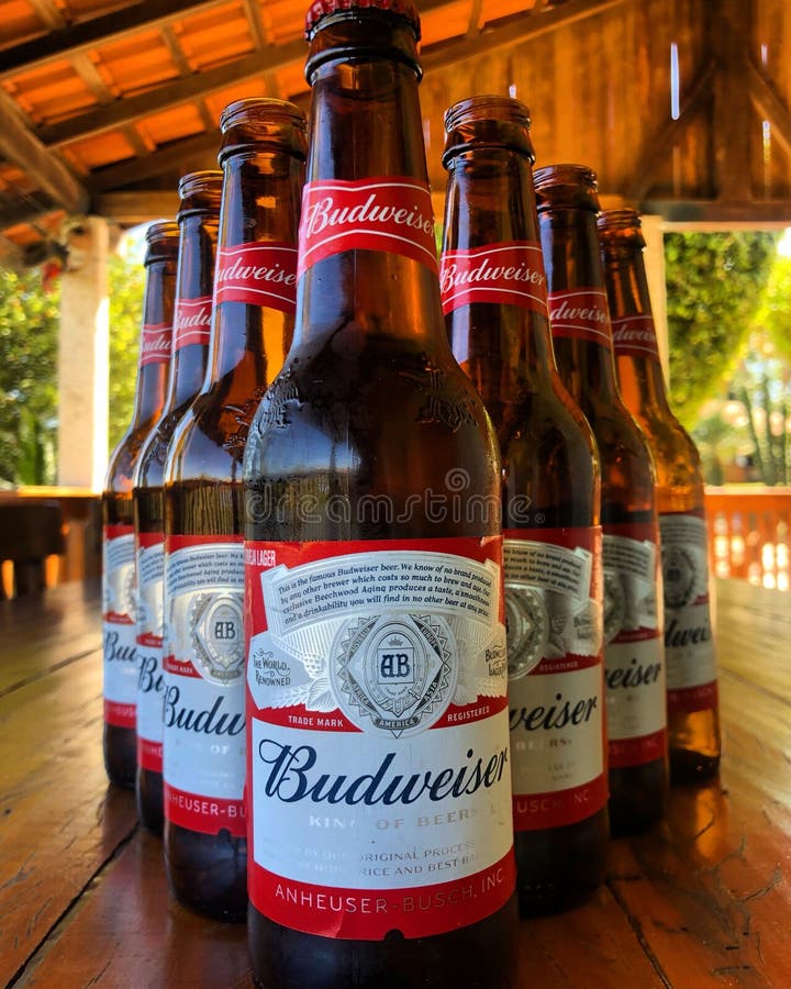 Budweiser editorial photography. Image of bear, cerveja - 124521392