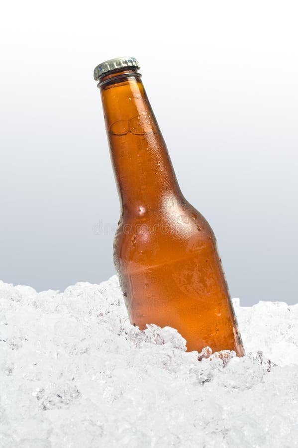 Cerveja no gelo imagem de stock. Imagem de restaurante - 4804117