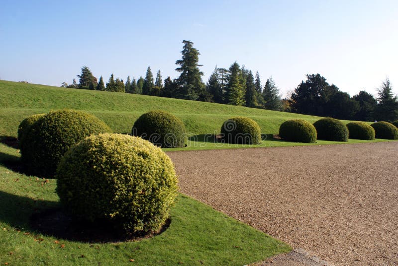 Cespugli Del Tasso Dell'ars Topiaria Nel Giardino Inglese Del Paese ...