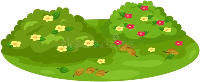 Cespuglio Sveglio Con Le Foglie Verdi Fogliame Realistico Di Estate O ...