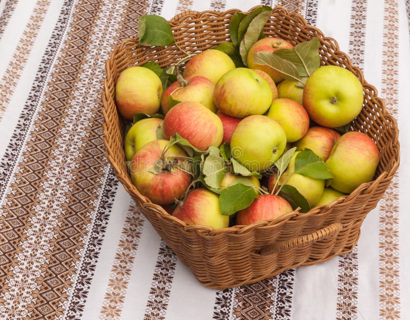 Cesta De Manzanas Y De Phloxes Del Ramo Imagen de archivo - Imagen de ...