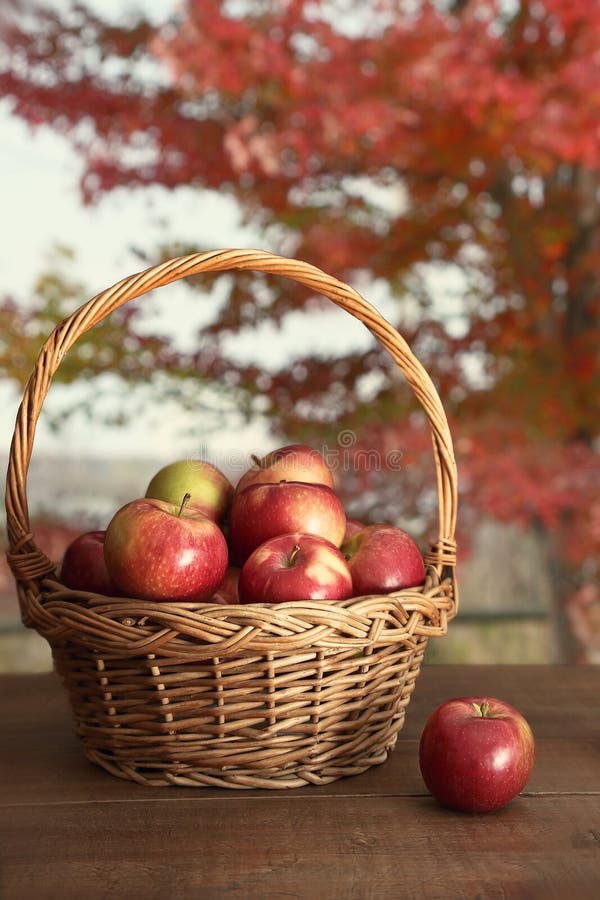Cesta De Manzanas En La Tabla Foto de archivo - Imagen de verano ...