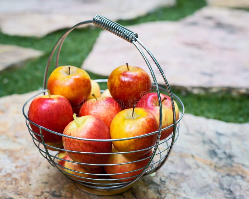 Manzanas Rojas Frescas En Una Cesta De Alambre Imagen de archivo ...