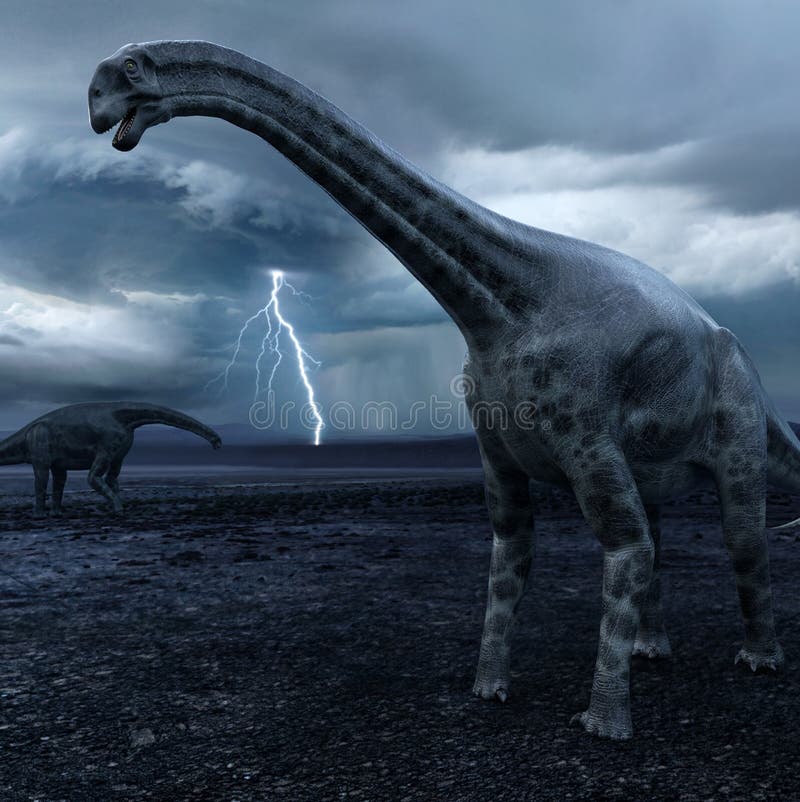 Cetiosaurus Dinosaur Side Profile Stock Illustration - Illustration of ...