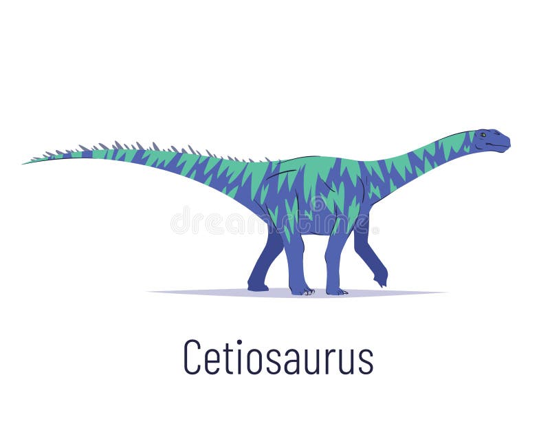 Cetiosaurus. Sauropodomorpha Dinosaur Stock Vector - Illustration of ...