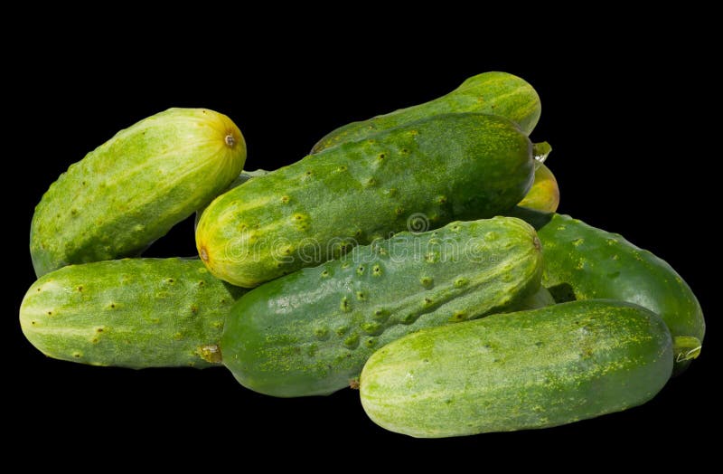 Cetrioli 4 immagine stock. Immagine di organico, verde - 13390203