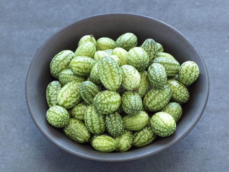 Cetriolini Melothria Scabra Fotografia Stock - Immagine di cetriolo ...