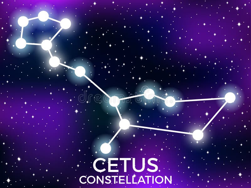 Cetus, Whale, Constellation Stock Vector - Illustration of dark, cetus ...