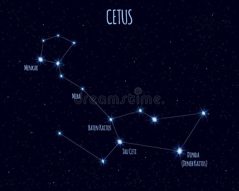 Cetus constellation stock vector. Illustration of space - 48959211