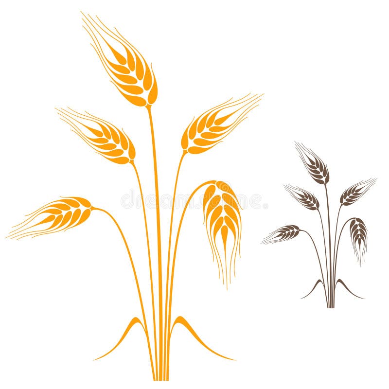 Cevada ilustração do vetor. Ilustração de vetor, cevada - 32448102