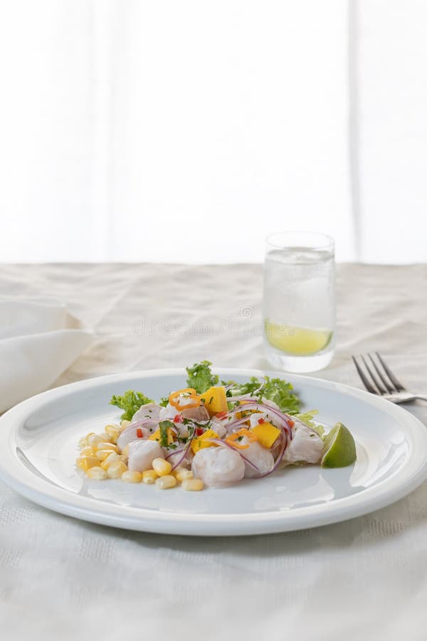Ceviche, Typical Fish-based Dish of Peruvian Cuisine with Copy Space ...