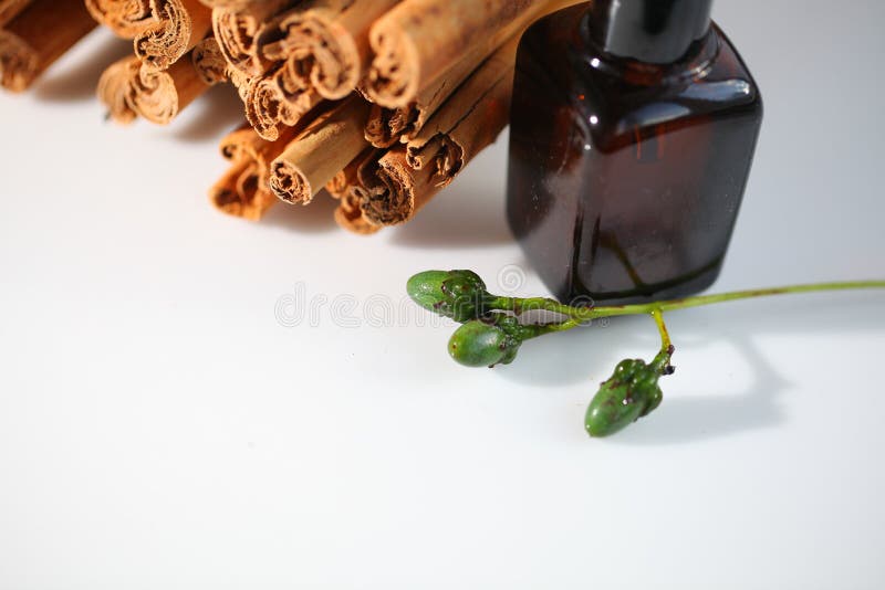 Natural Ceylon Cinnamon Sticks Wholesale Packaging Stock Photo - Image ...