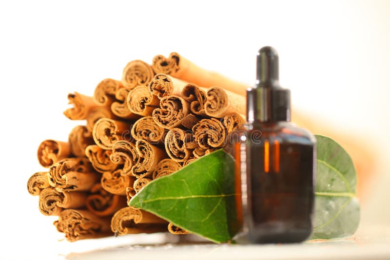 Ceylon Cinnamon Sticks Wholesale Packaging Stock Image - Image of macro ...